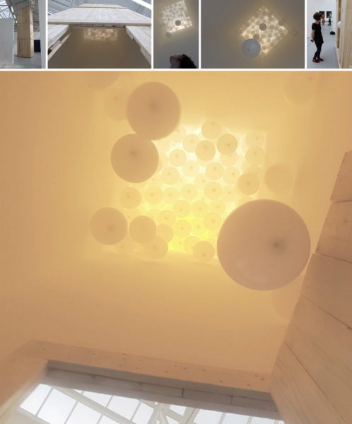 Meet the artist: Caroline Mackenzie